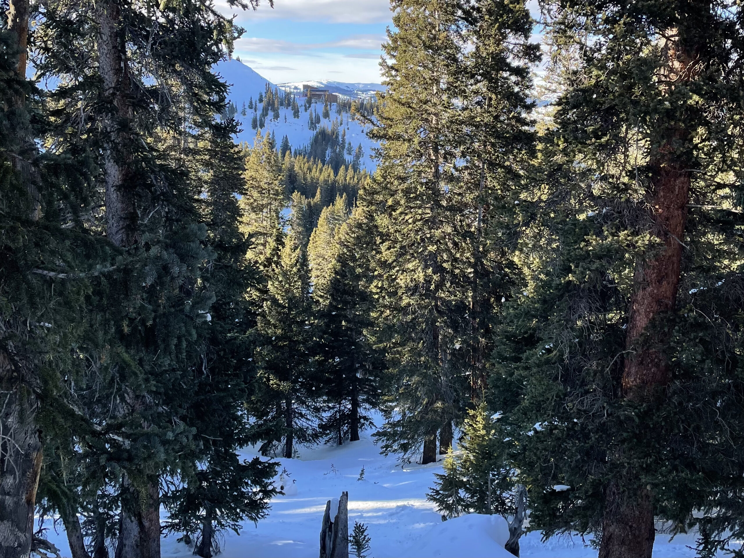 How a Ski Injury Helped Me with Self-Compassion - Captain Planent